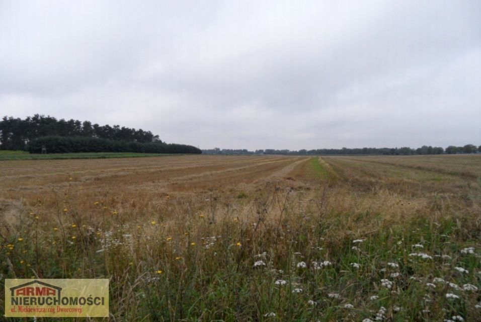 Sprzedam działkę 25900 m² rolną Dalewo