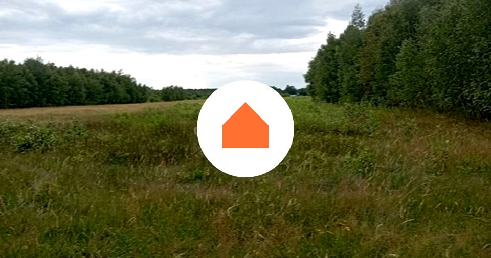 Działka inwestycyjna 3000 m² przy lesie na sprzedaż Helenów
