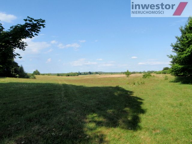 Sprzedam działkę 154300 m² rolną Nowe Worowo