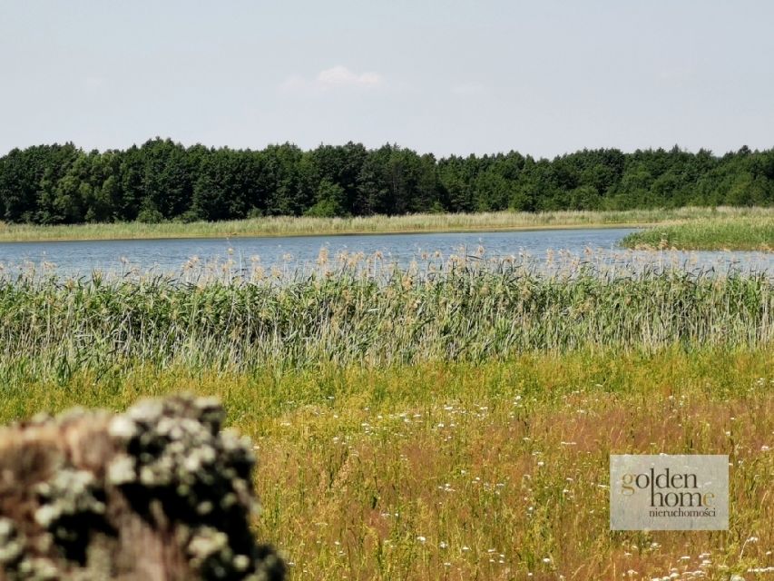 Sprzedam działkę 33000 m² siedliskową Nowe Worowo