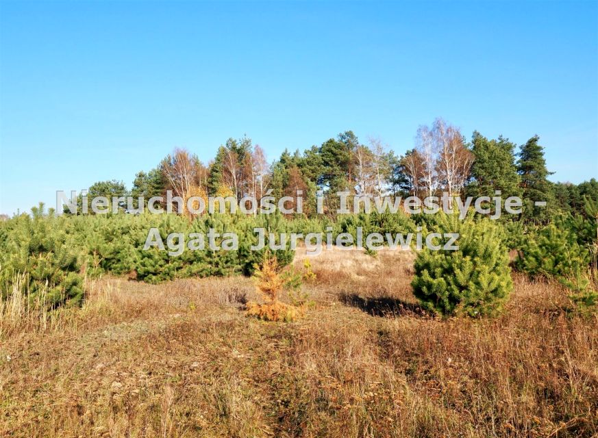 Działka 1400 m² przy lesie na sprzedaż Kobyla Góra