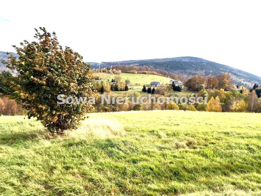 Działki Góry Sowie, Walim, Rzeczka