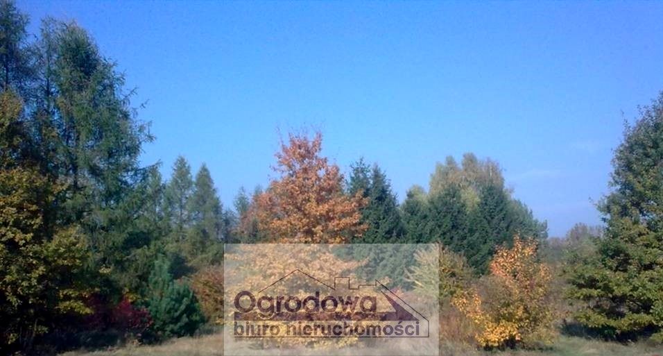 Działka blisko Liwca, Urle