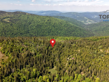 Sprzedam zalesioną działkę rolno-leśną 11727 m² Ochotnica Górna