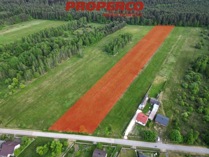 Działki o pow. 11800 m2, Kucębów Dolny, gm. Bliżyn