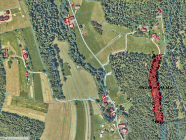 Sprzedam działkę 4300 m² leśną Nowy Targ